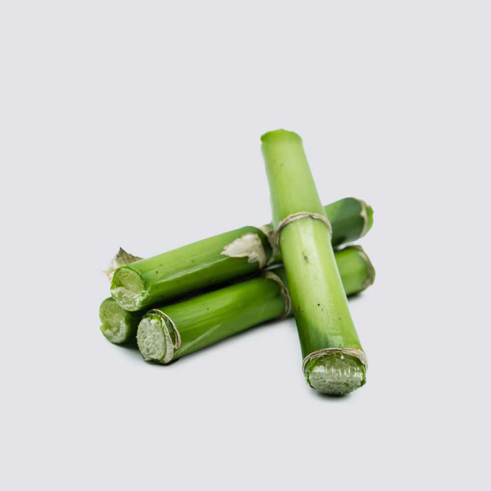 Bamboo Toothbrush - Dari Mooch